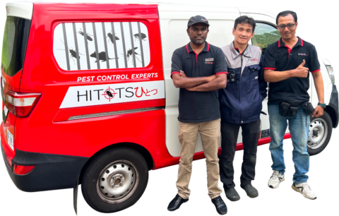 Malaysia No.1 Pest Control Services Provider | Hitotsu Pest Control